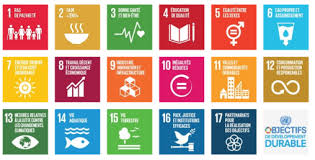 RSE, ODD et entreprises : les écarts de mobilisation se creusent - 2018 ...