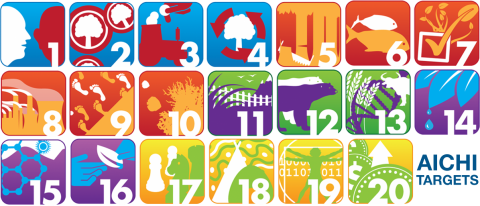 Lancement de la cinquième édition du Global Biodiversity Outlook (GBO-5 ...