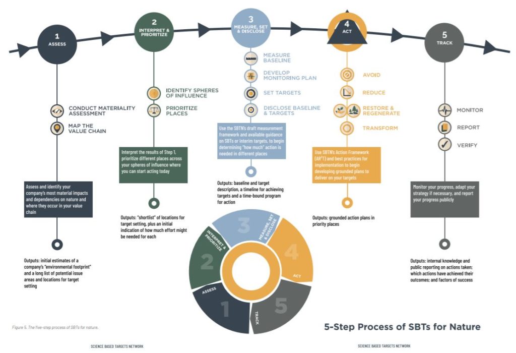Le SBTN : une coalition pour limiter la perte de la biodiversité - BL ...