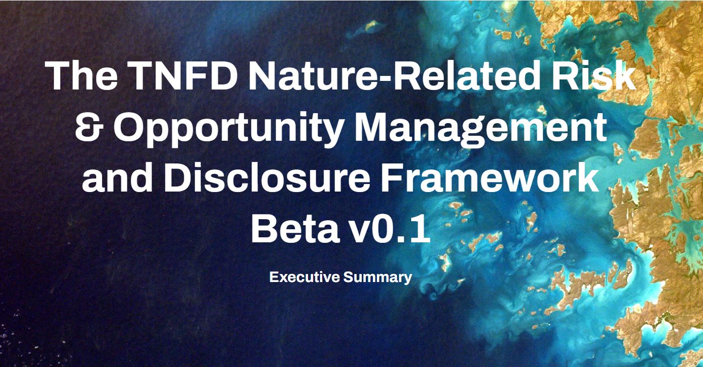 La TNFD publie son premier cadre pour les risques liés à la nature - BL ...