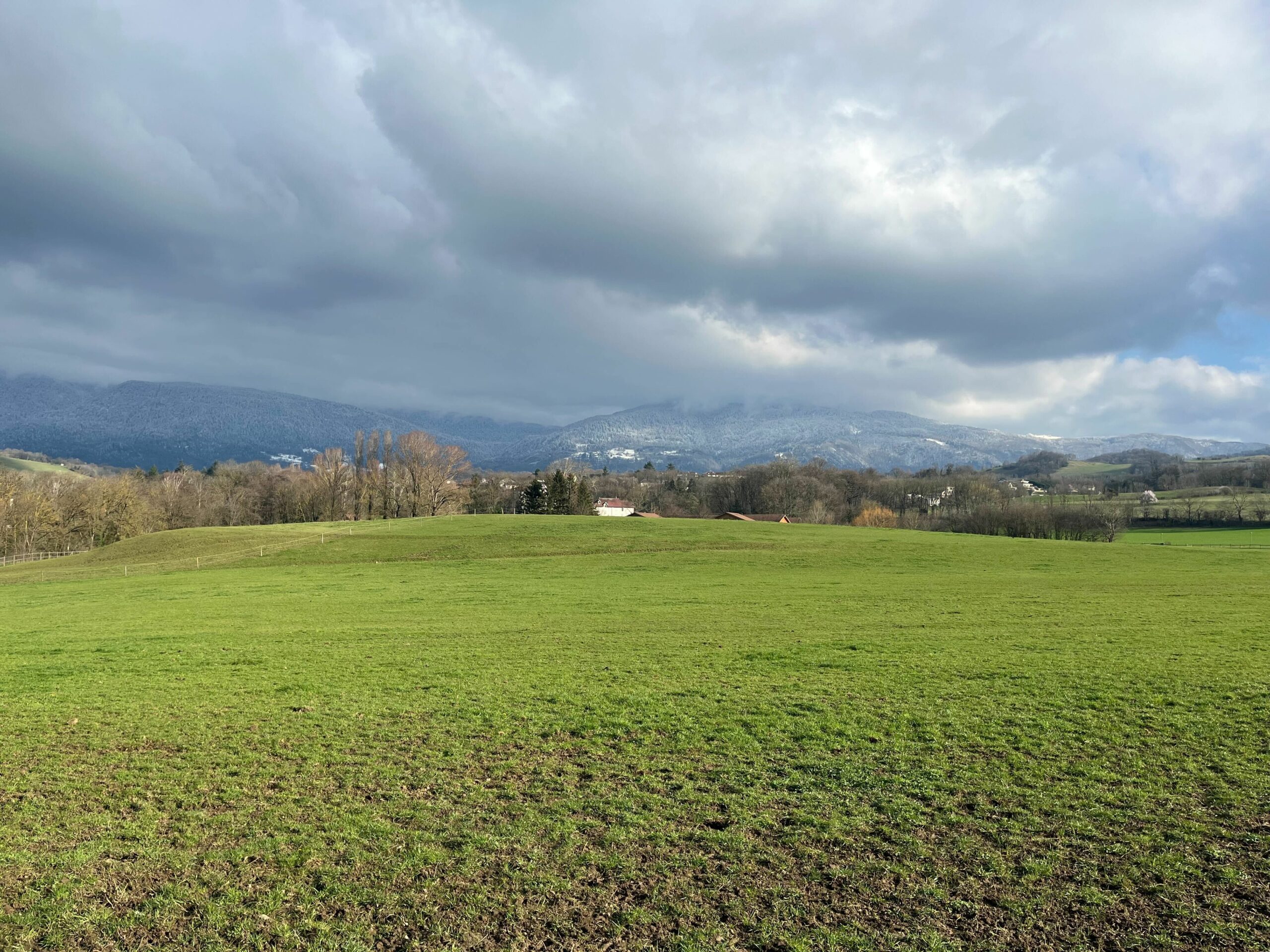 Du ZAN à la TRACE, un détricotage en règle sous couvert de concertation locale - BL évolution