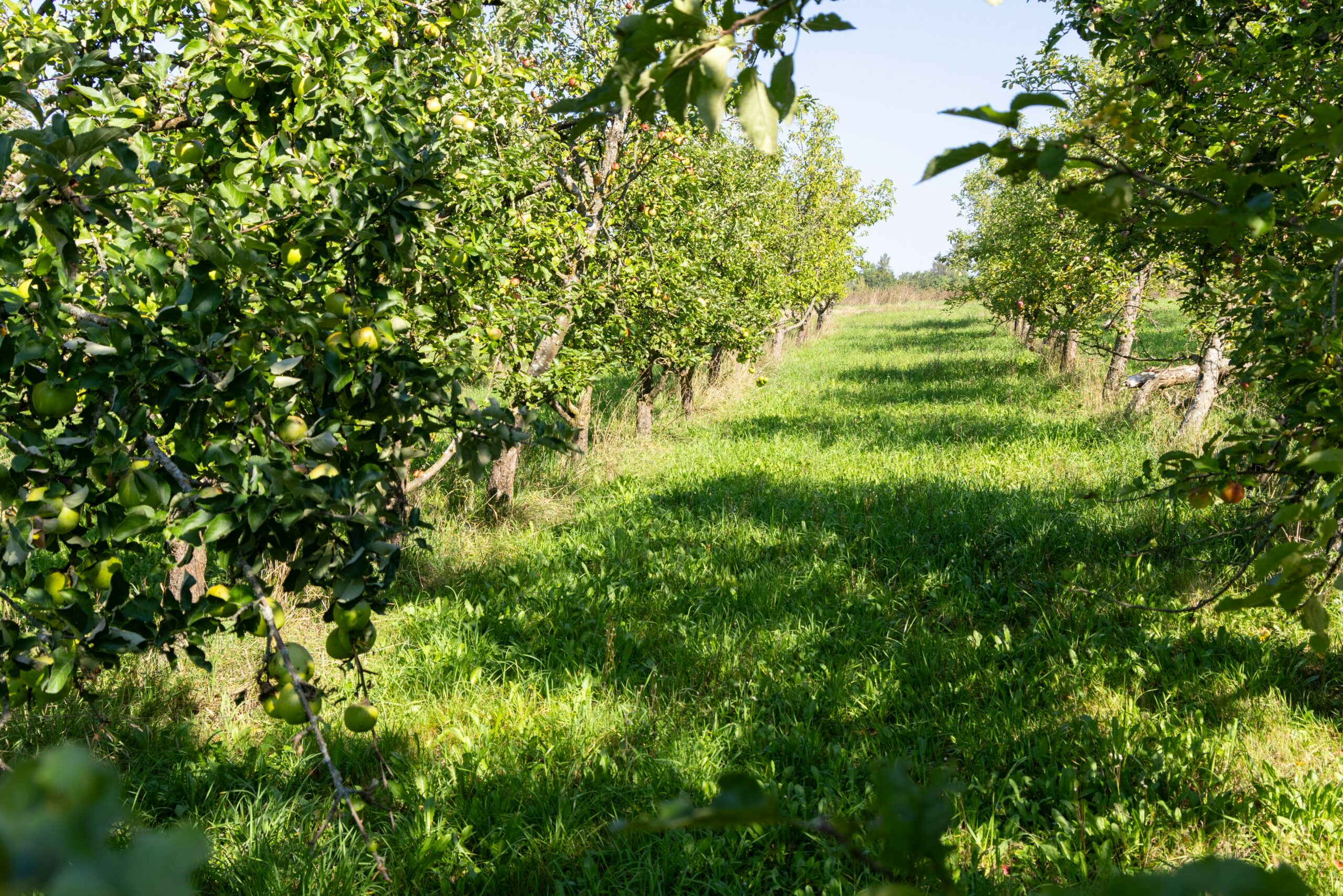 SNANC : 117 organisations pressent le gouvernement d’agir pour une ...